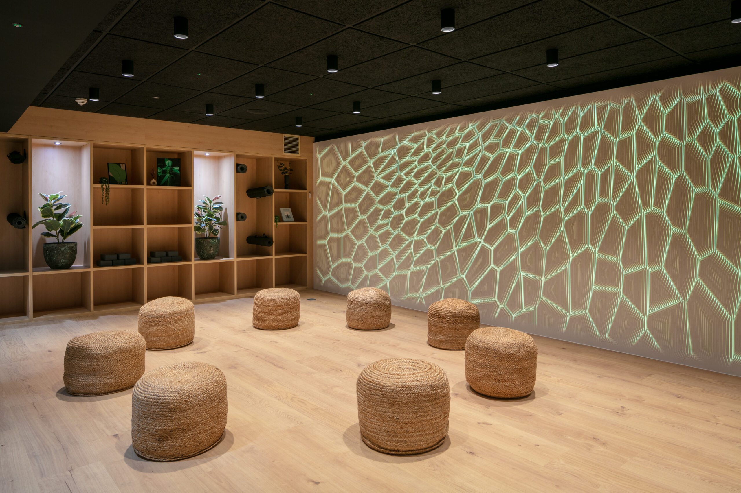 Commercial Spaces - Parametric Walls
